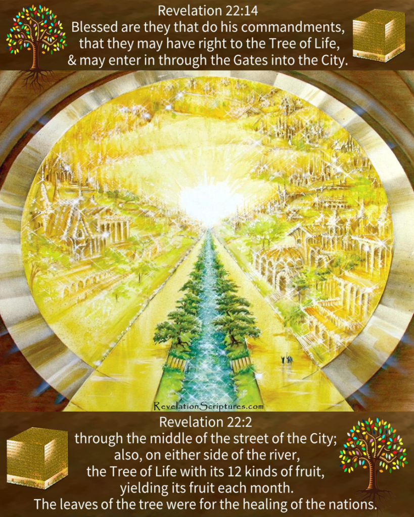 All Tree Of Life Bible Scriptures In Revelation, Gen. & Prov